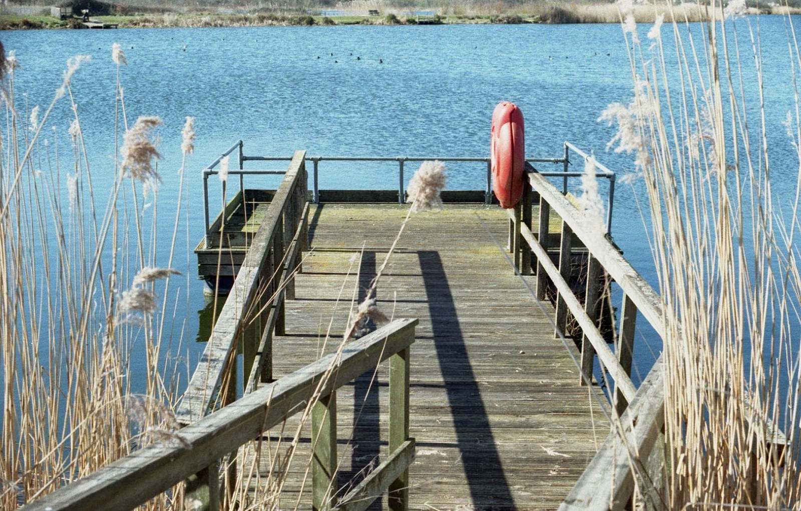 Longham Lakes – S.H.O.U.T.